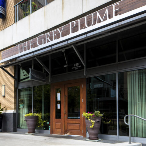 The Grey Plume - SGH Concepts